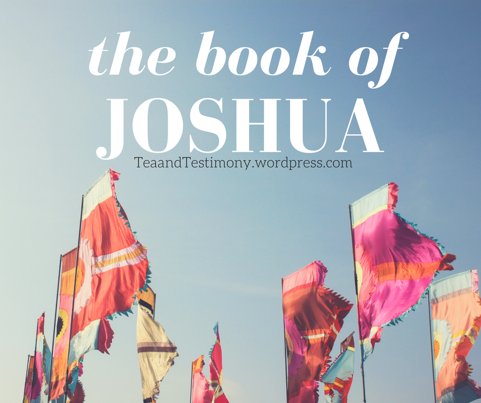 The Book of Joshua – Bible Study & SOAK method – tea & testimony